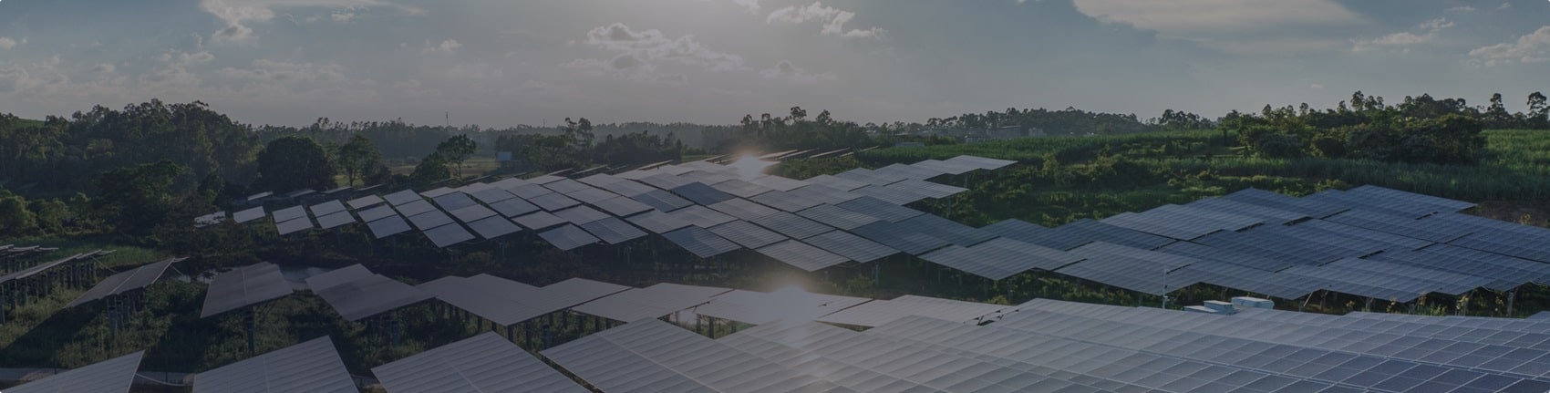 Solar panels in Ukraine – an eco-friendly and cost-effective solution ...